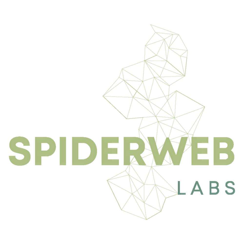 The Team - Spiderweb Labs